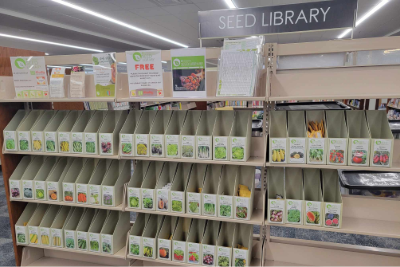 The Hedberg Public Library Seed Library is OPEN! | Hedberg Public Library